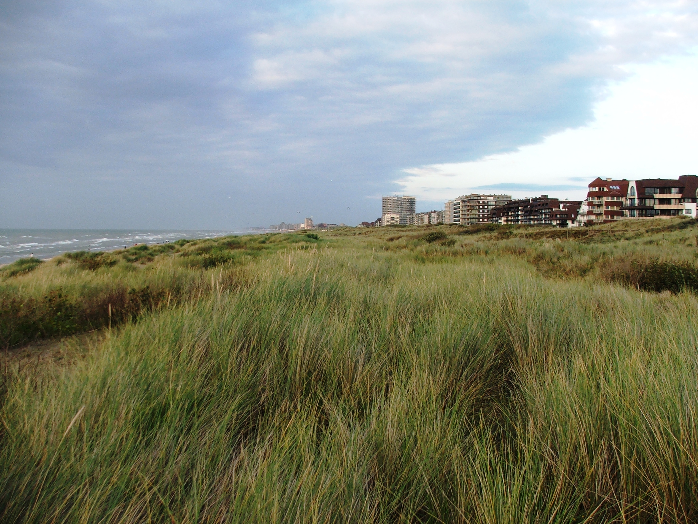 21 maart: Inspraakmoment natuurbeheerplan waterwinning Sint-André en ...