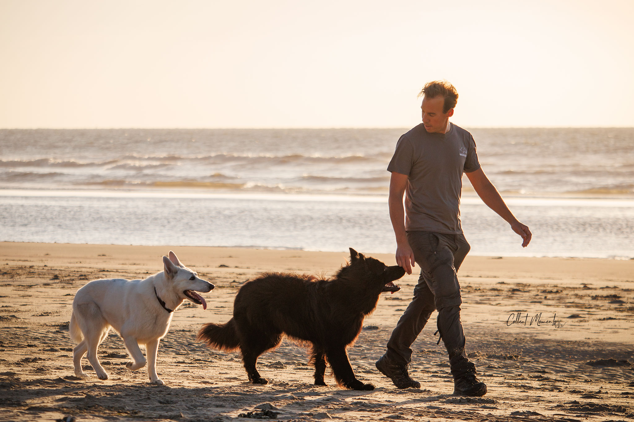"Steeds meer zie ik positieve reacties na mantrailing bij honden met ...