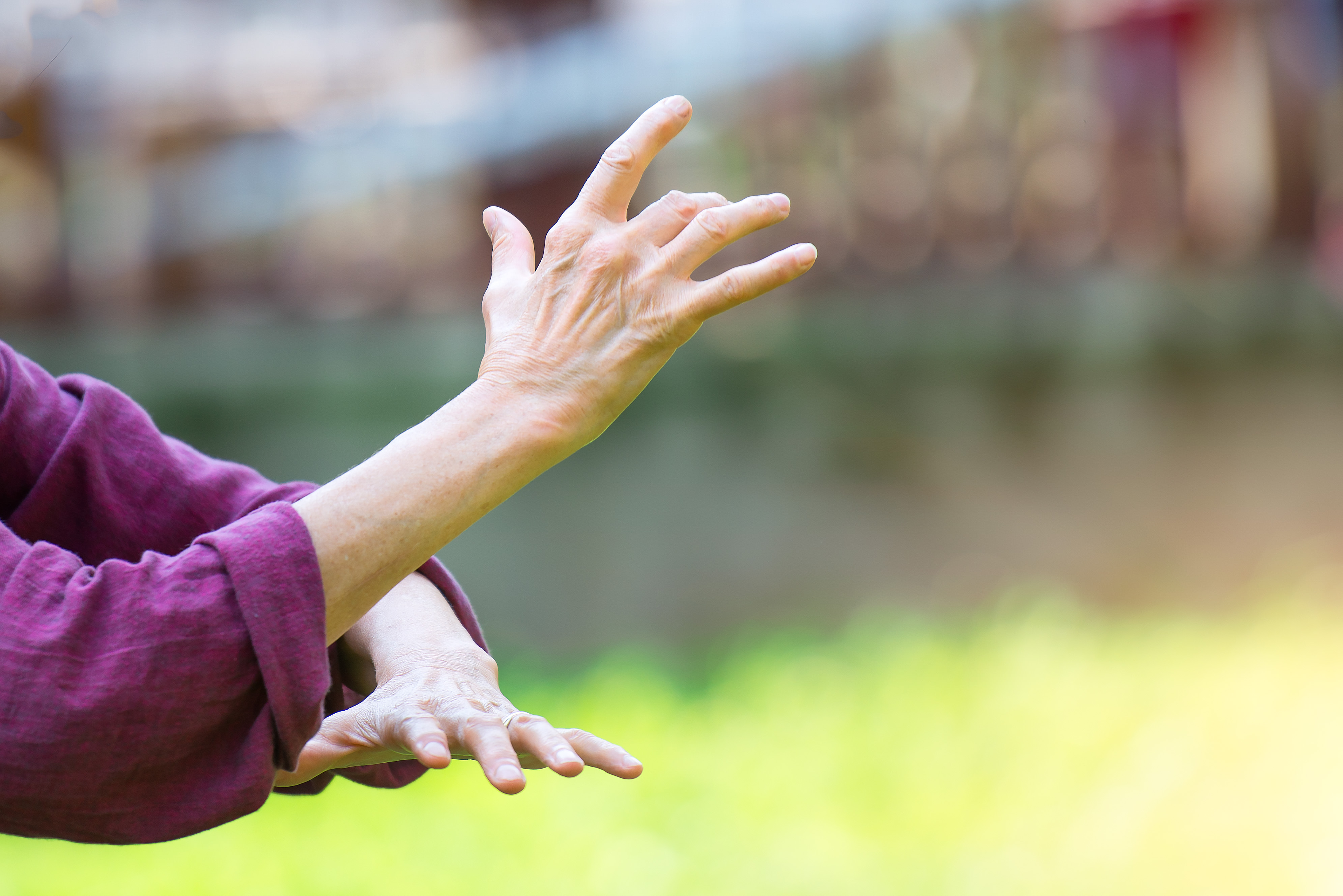 Lessen tai chi voor senioren: doe mee | Tij-dingen